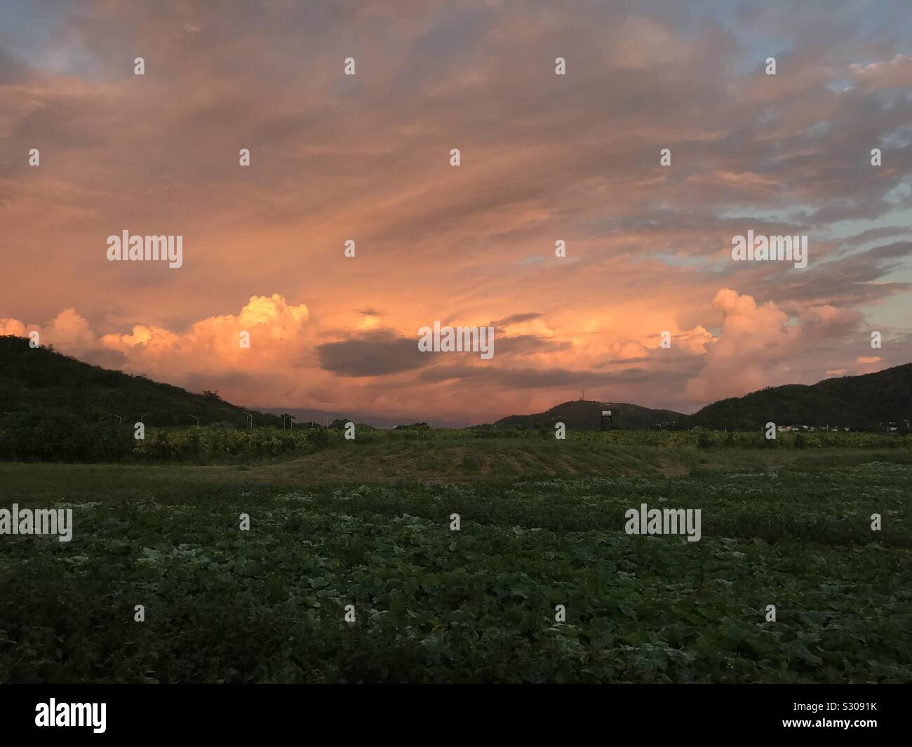 Open field sunset hi-res stock photography and images - Alamy