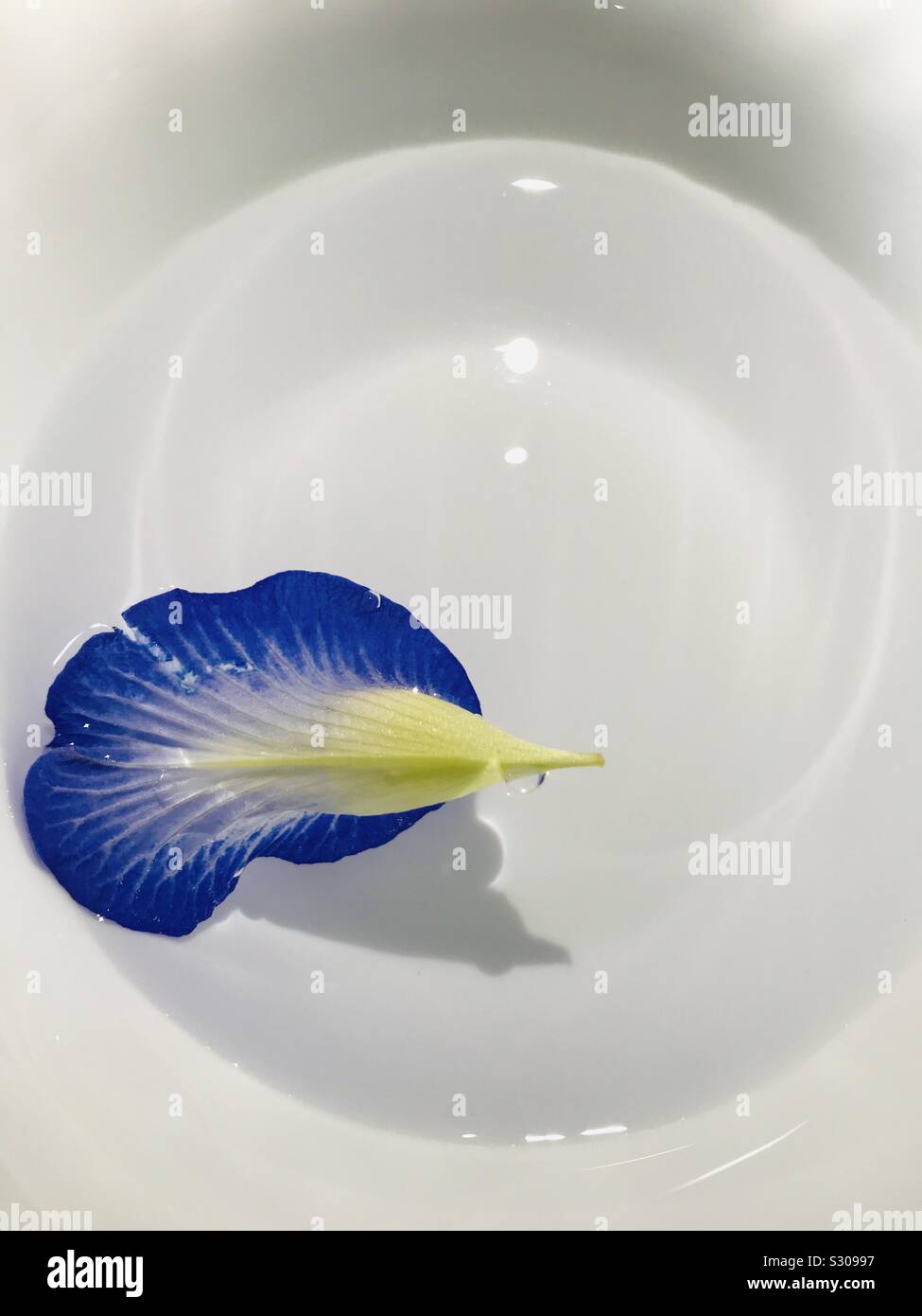 Floating pea hi-res stock photography and images - Alamy
