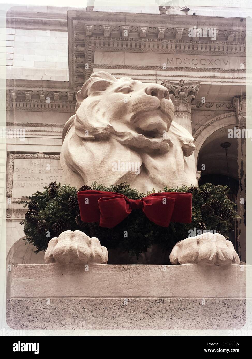 New york public library and lions hi-res stock photography and images ...