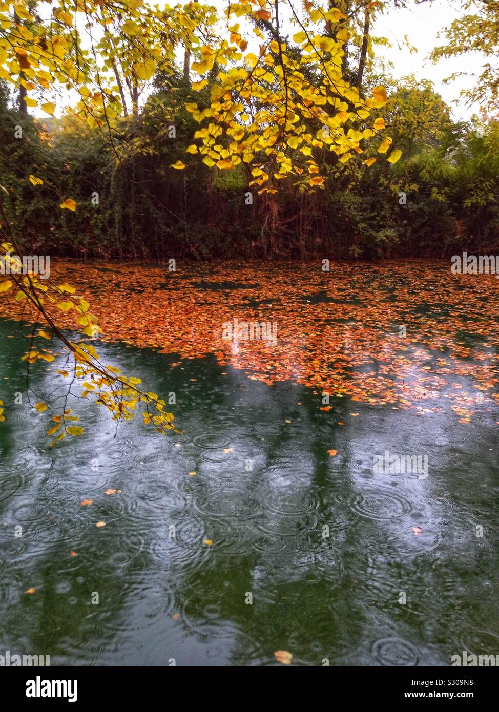 Raining autumn hi-res stock photography and images - Alamy