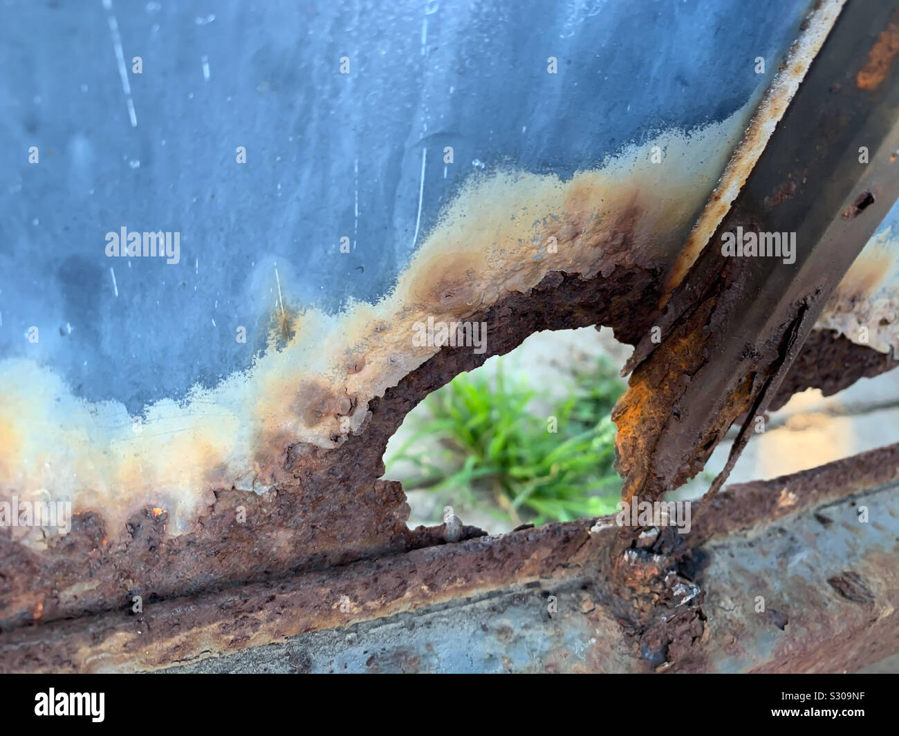 Blue weeds hi-res stock photography and images - Alamy