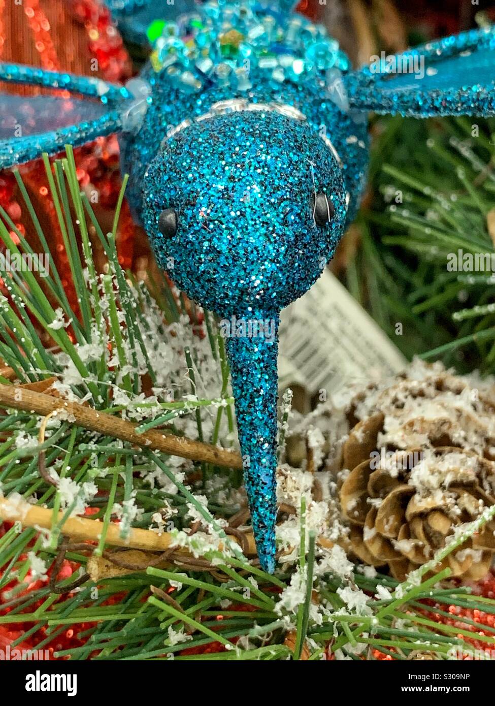 Blue hummingbird hi-res stock photography and images - Alamy