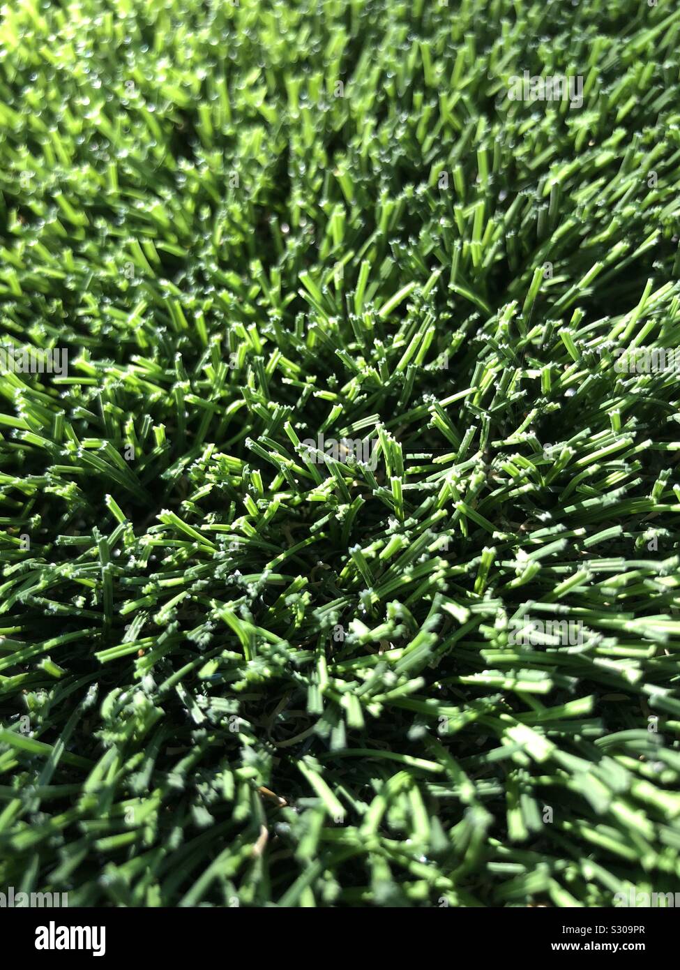 Turf texture hi-res stock photography and images - Alamy