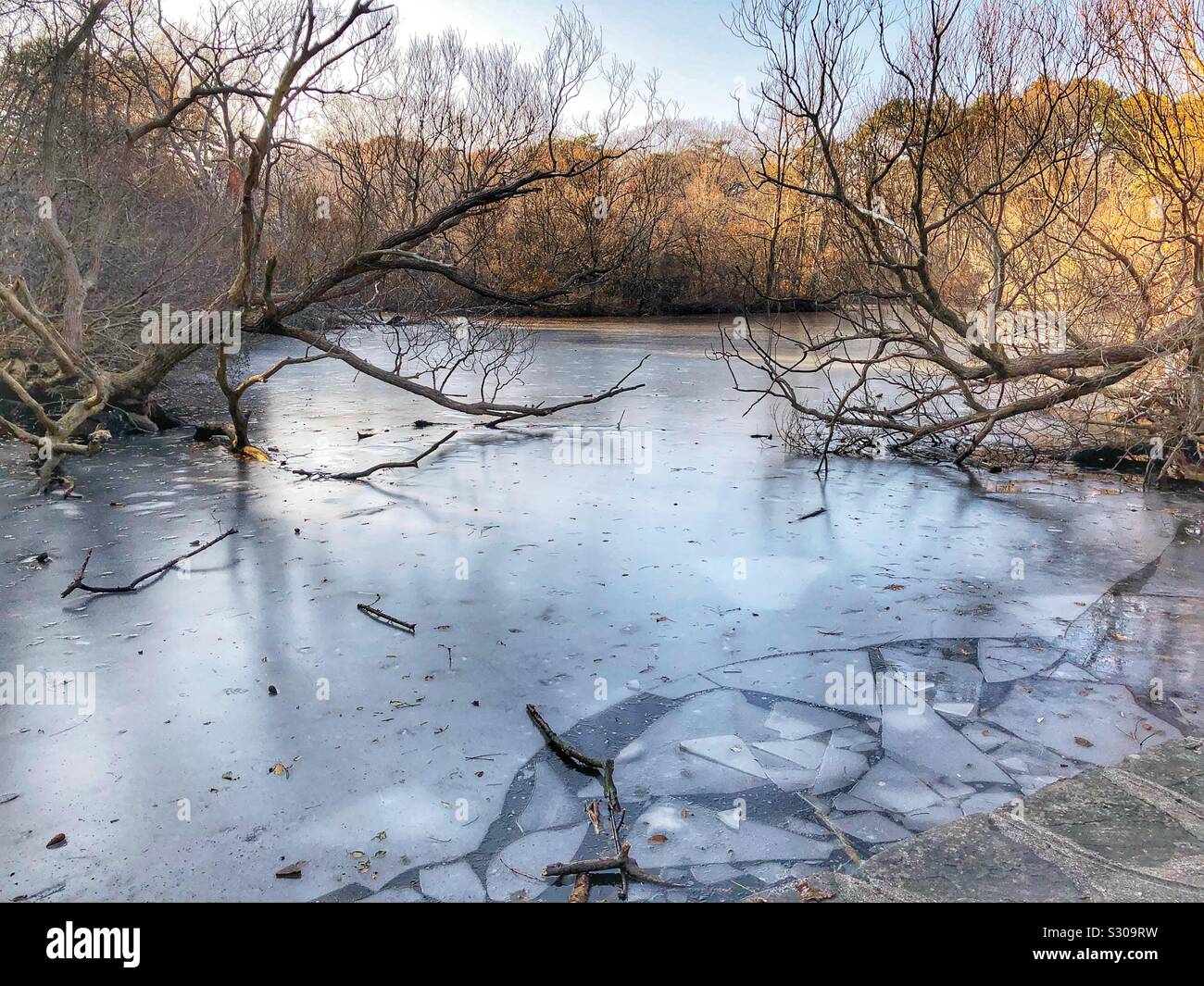 Thin ice on a pond in High Park, Toronto, Canada Stock Photo - Alamy