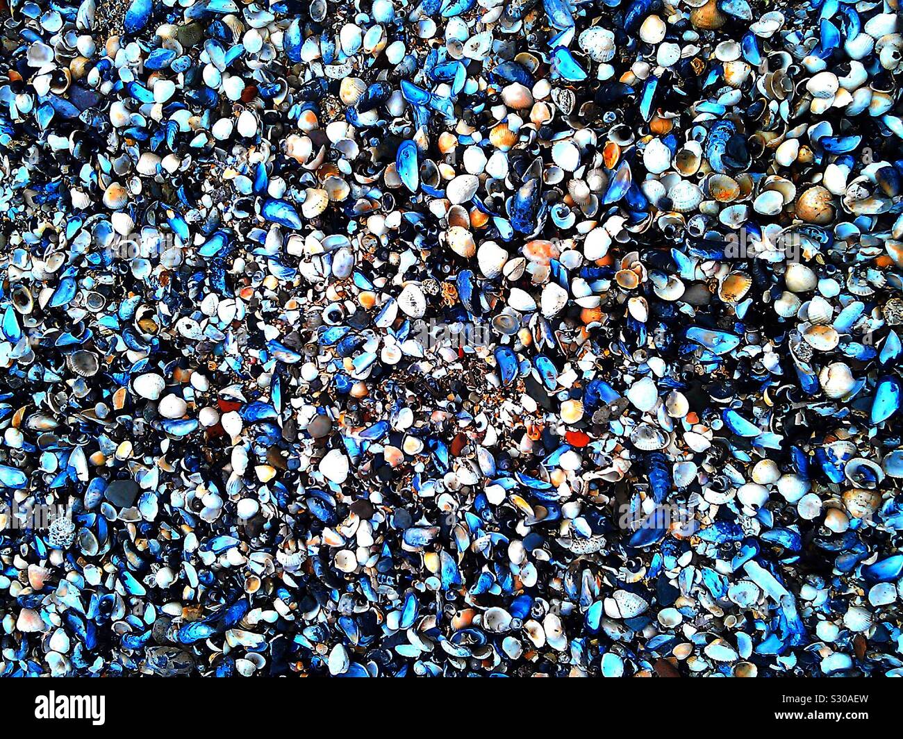 Blues beach hi-res stock photography and images - Alamy