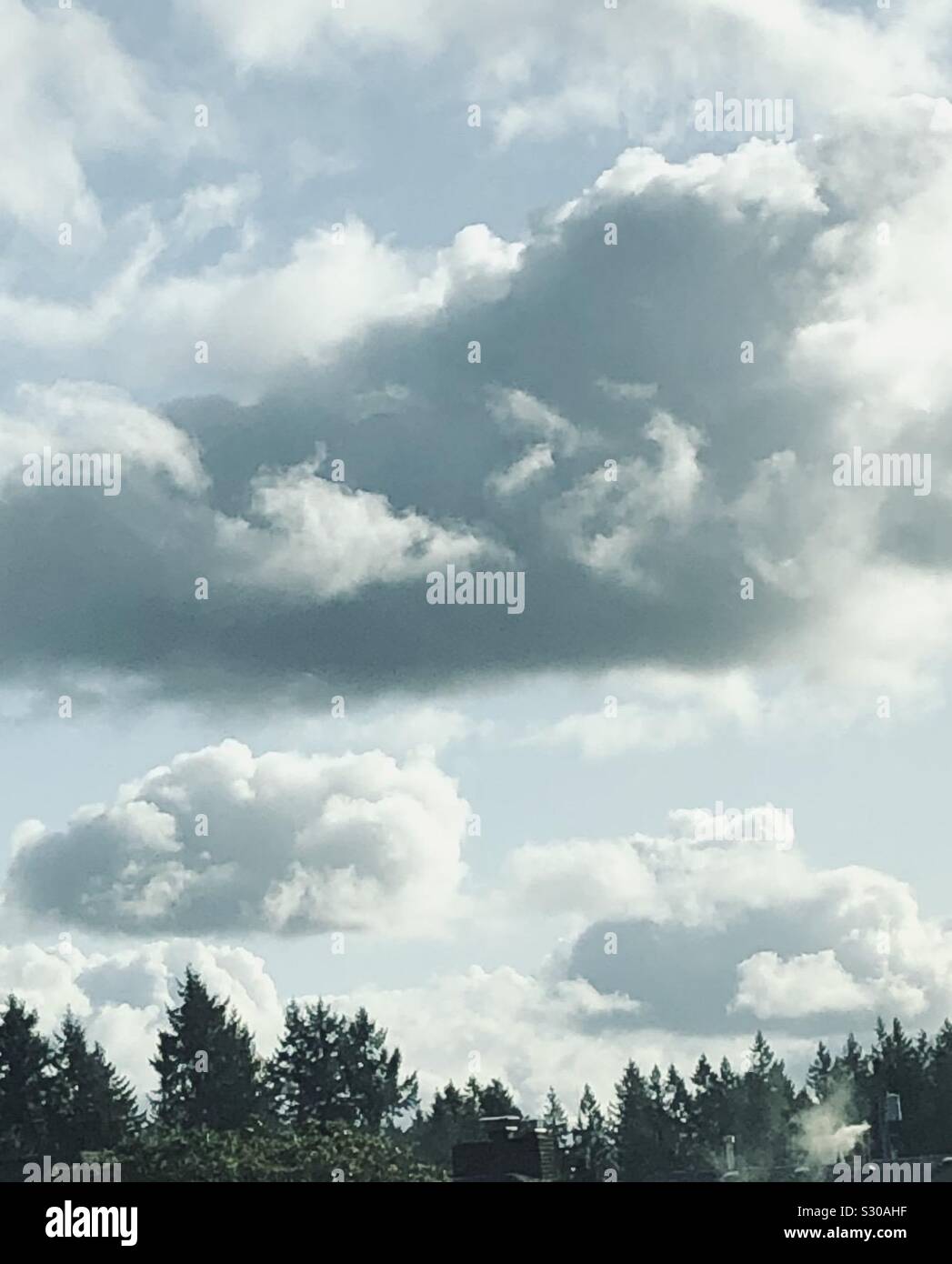 Over treetops hi-res stock photography and images - Alamy