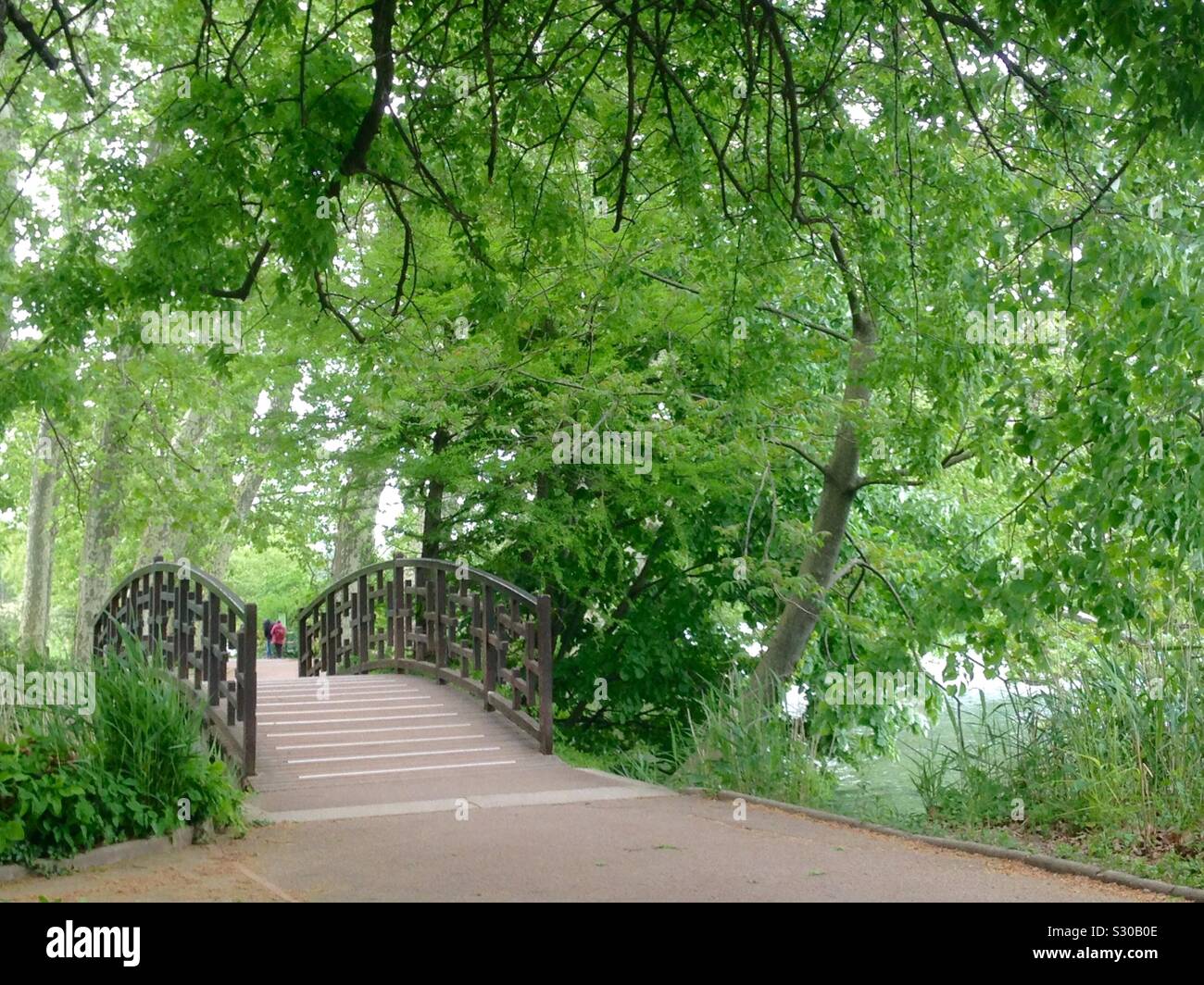 Bridge to nature hi-res stock photography and images - Alamy