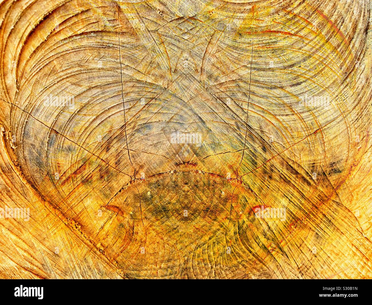 Tree ring Abstraction Stock Photo - Alamy