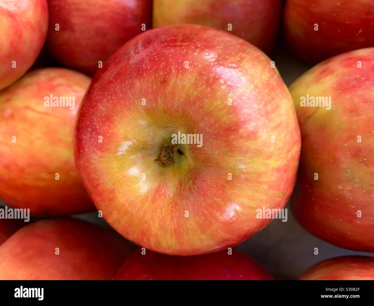 Red apple close up hi-res stock photography and images - Alamy