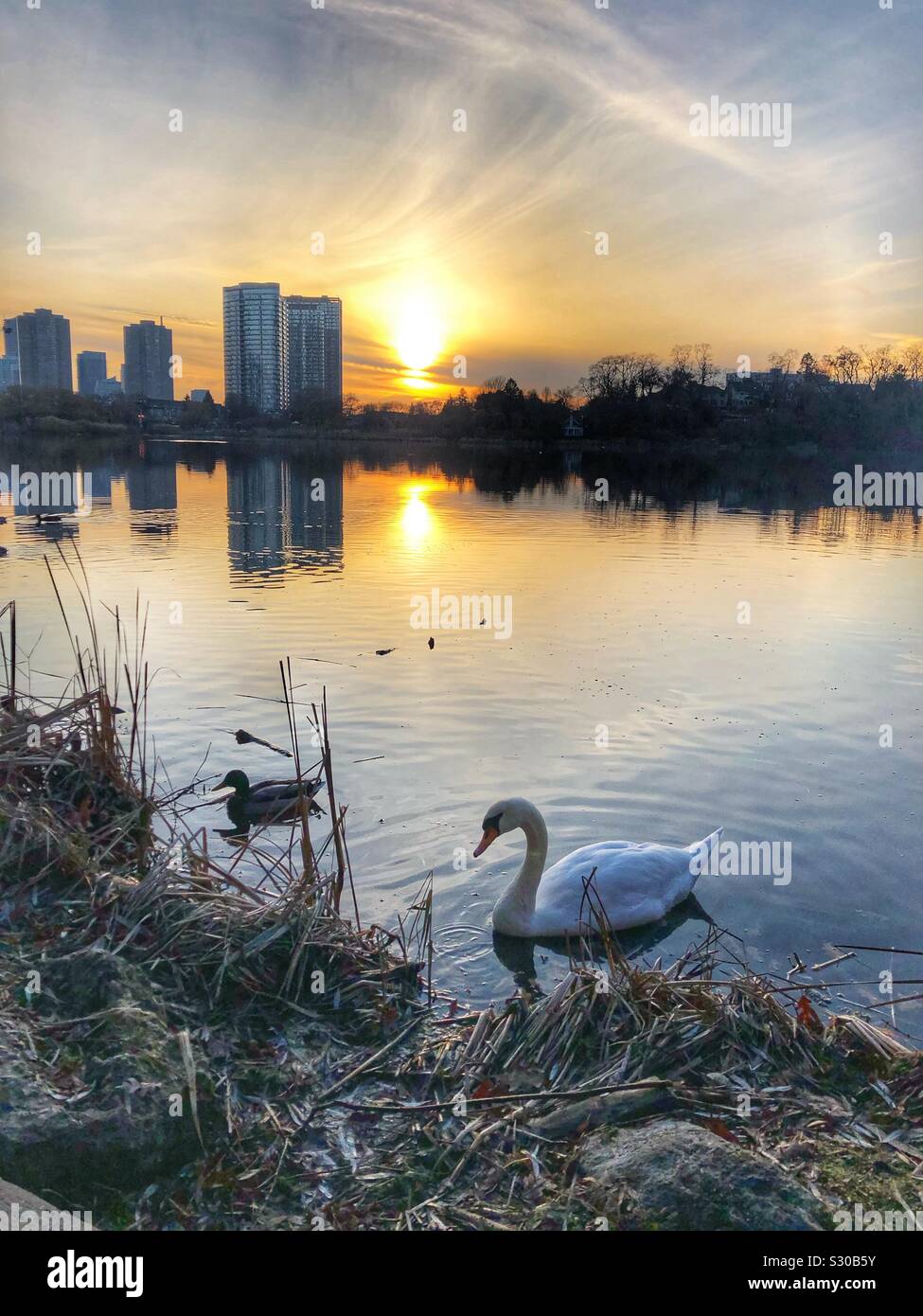 Sunset over Grenadier Pond in High Park, Toronto, Canada Stock Photo ...
