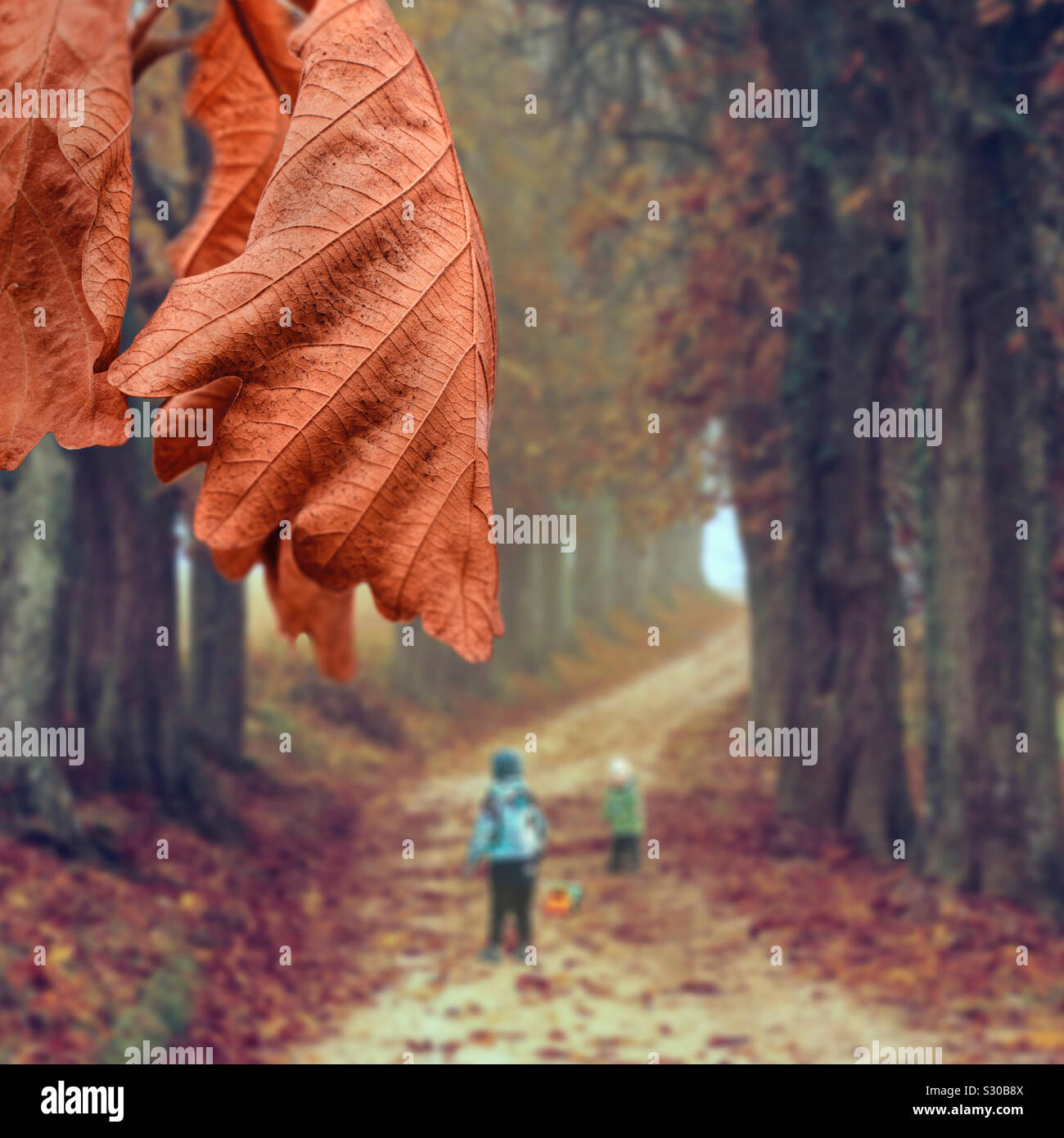 Autumn In Denmark High Resolution Stock Photography and Images - Alamy