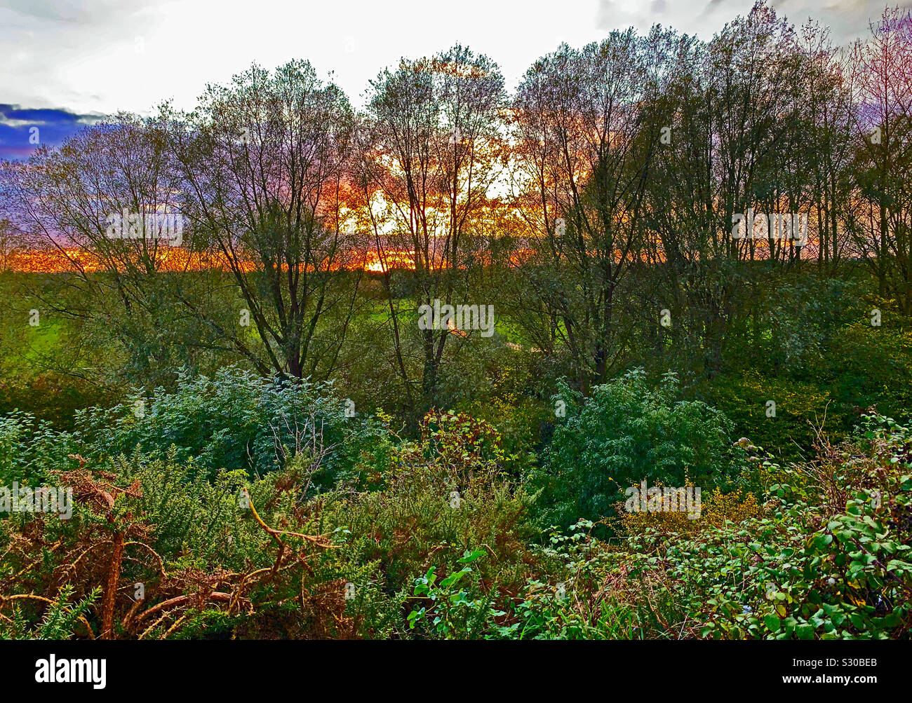 Bungay hi-res stock photography and images - Alamy