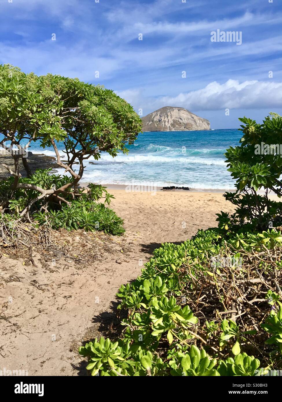 Makapuu beach hi-res stock photography and images - Alamy
