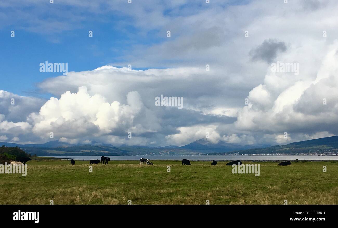 Ardmore hi-res stock photography and images - Alamy