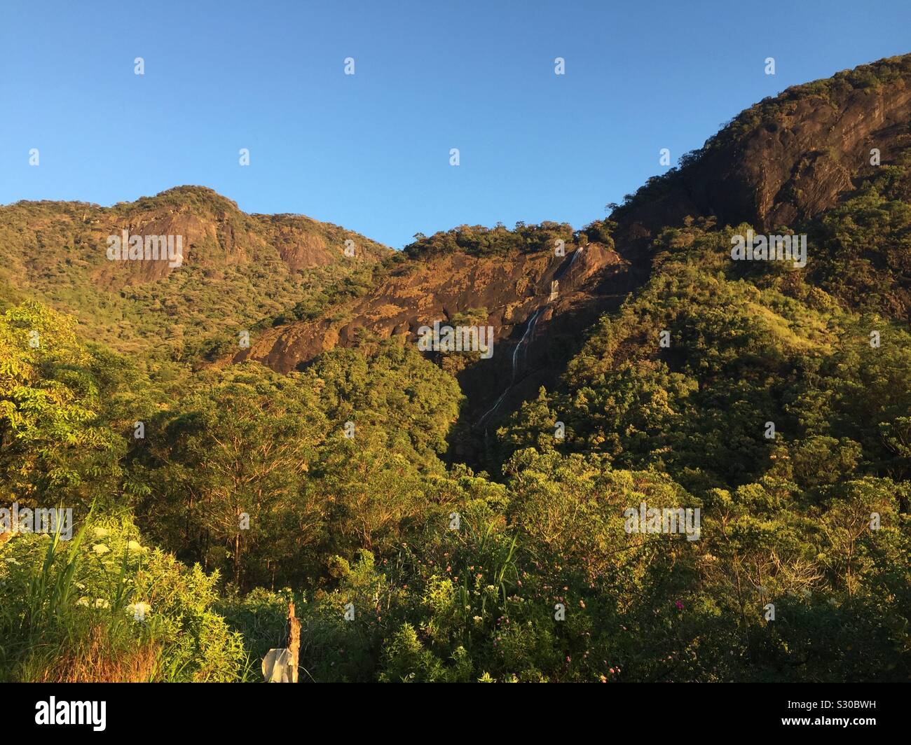 On the way to Adam’s Peak-Sri Padha Stock Photo - Alamy