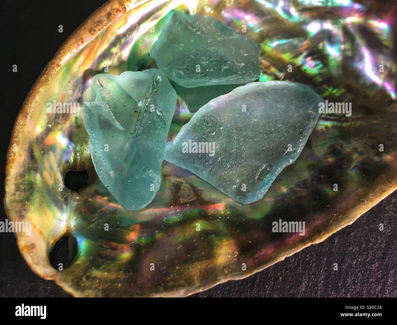 Abalone shell beach hi-res stock photography and images - Alamy