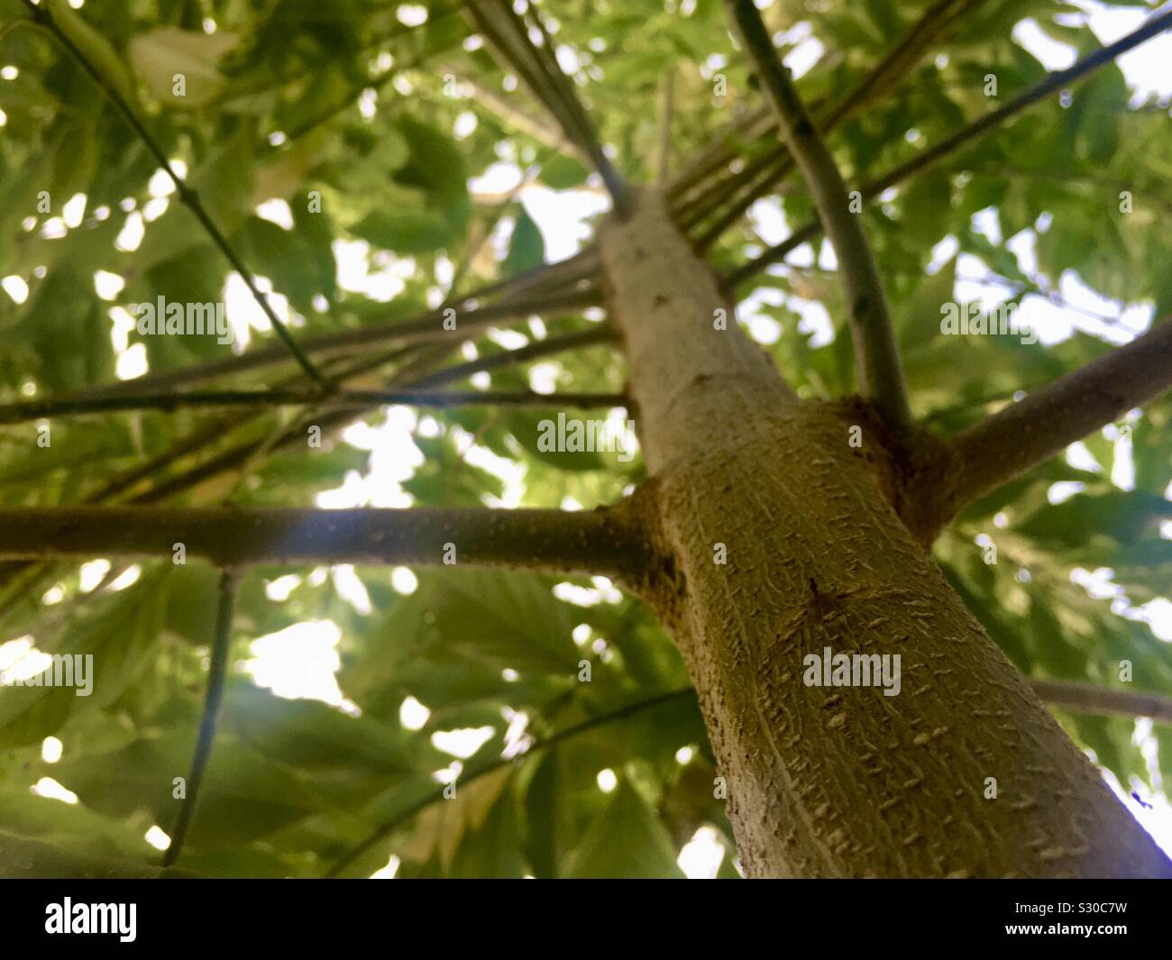 Long daylight hi-res stock photography and images - Alamy