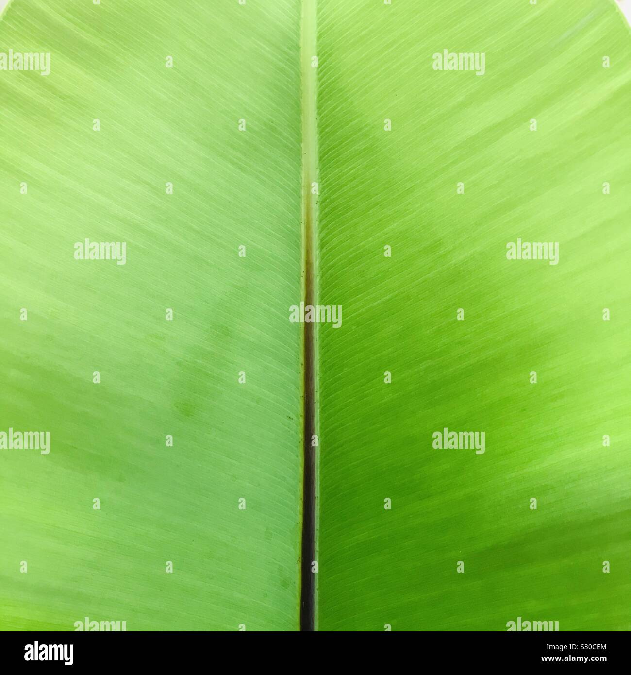 Vibrant shaded hi-res stock photography and images - Alamy