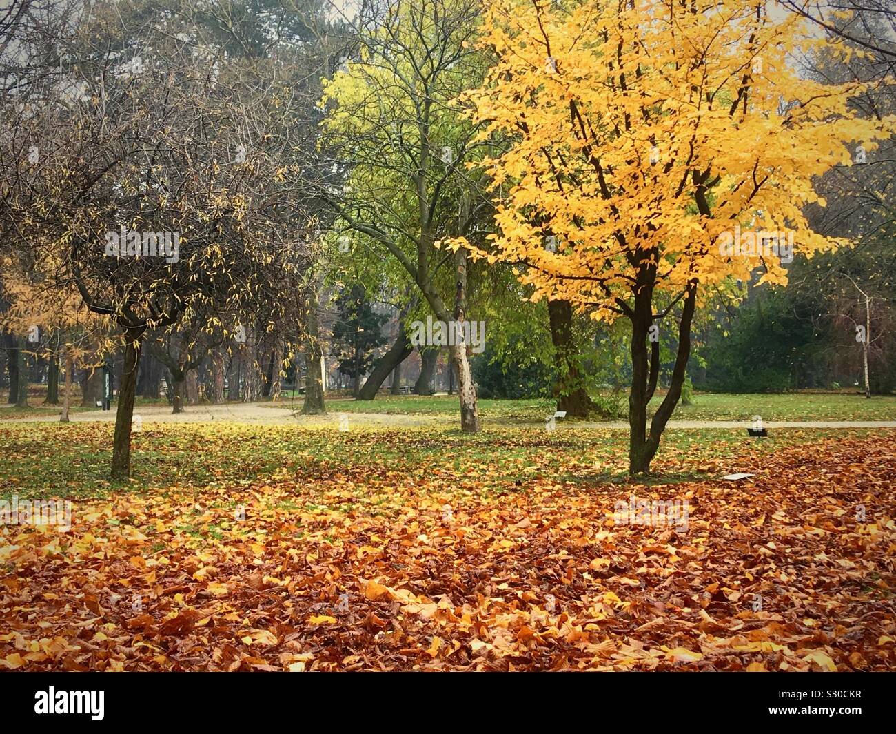 Vivid colours colors hi-res stock photography and images - Alamy