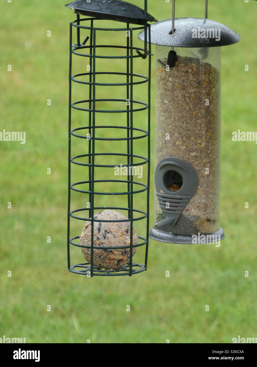 Birdfeed hi-res stock photography and images - Alamy