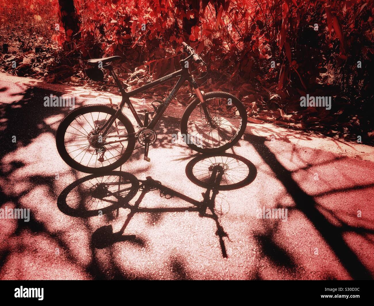 Bike shade hi-res stock photography and images - Alamy