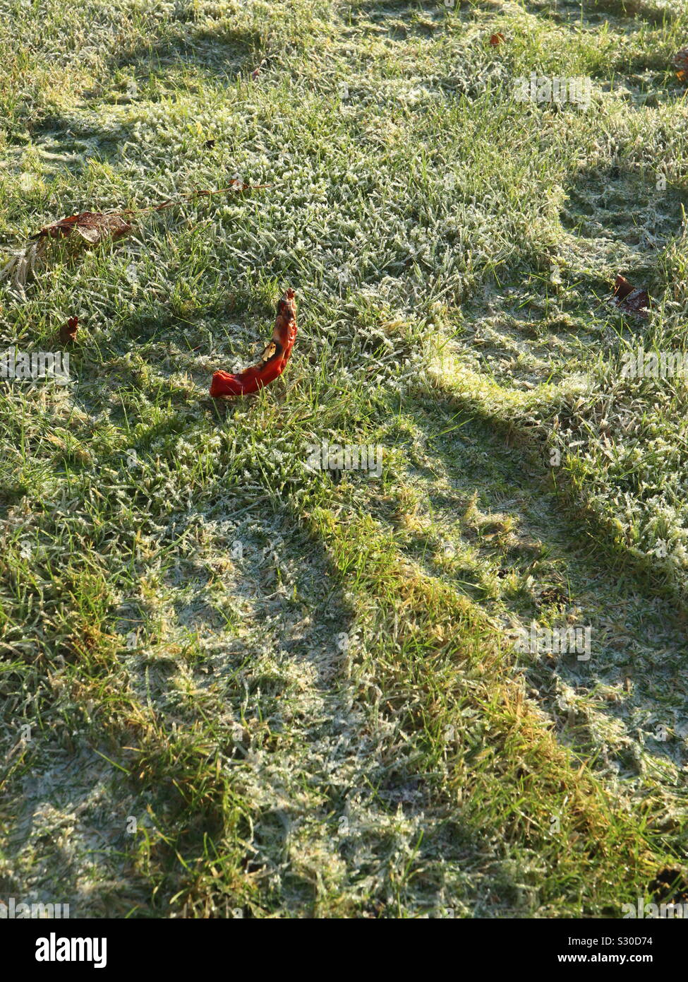 Chilly feet in the frost Stock Photo - Alamy