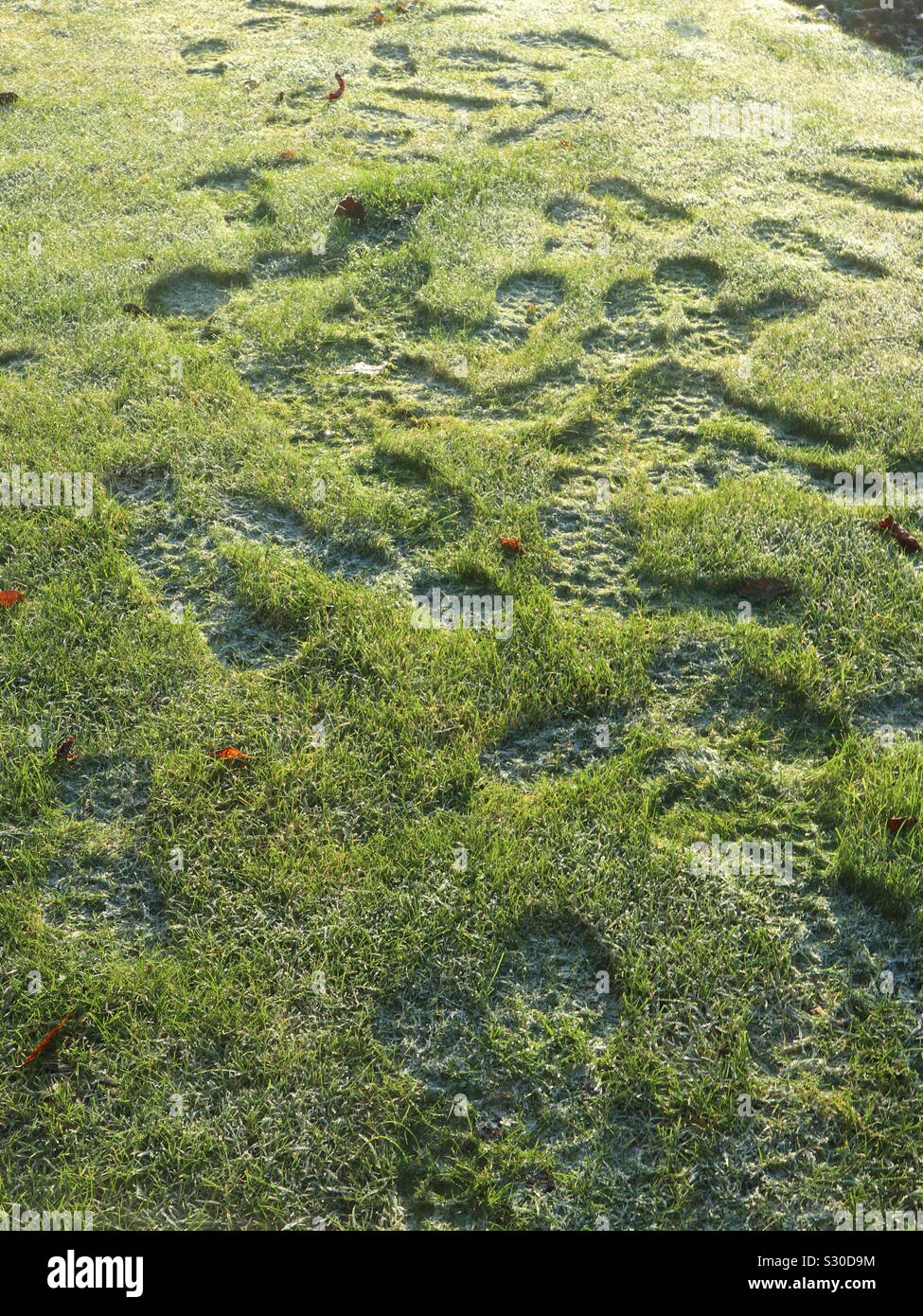 Frosty footprints hi-res stock photography and images - Alamy