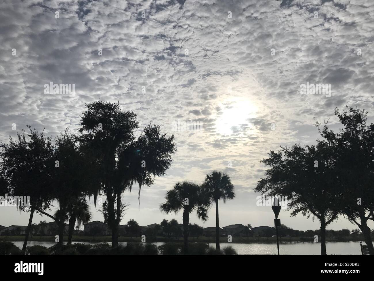 Ave maria florida hi-res stock photography and images - Alamy