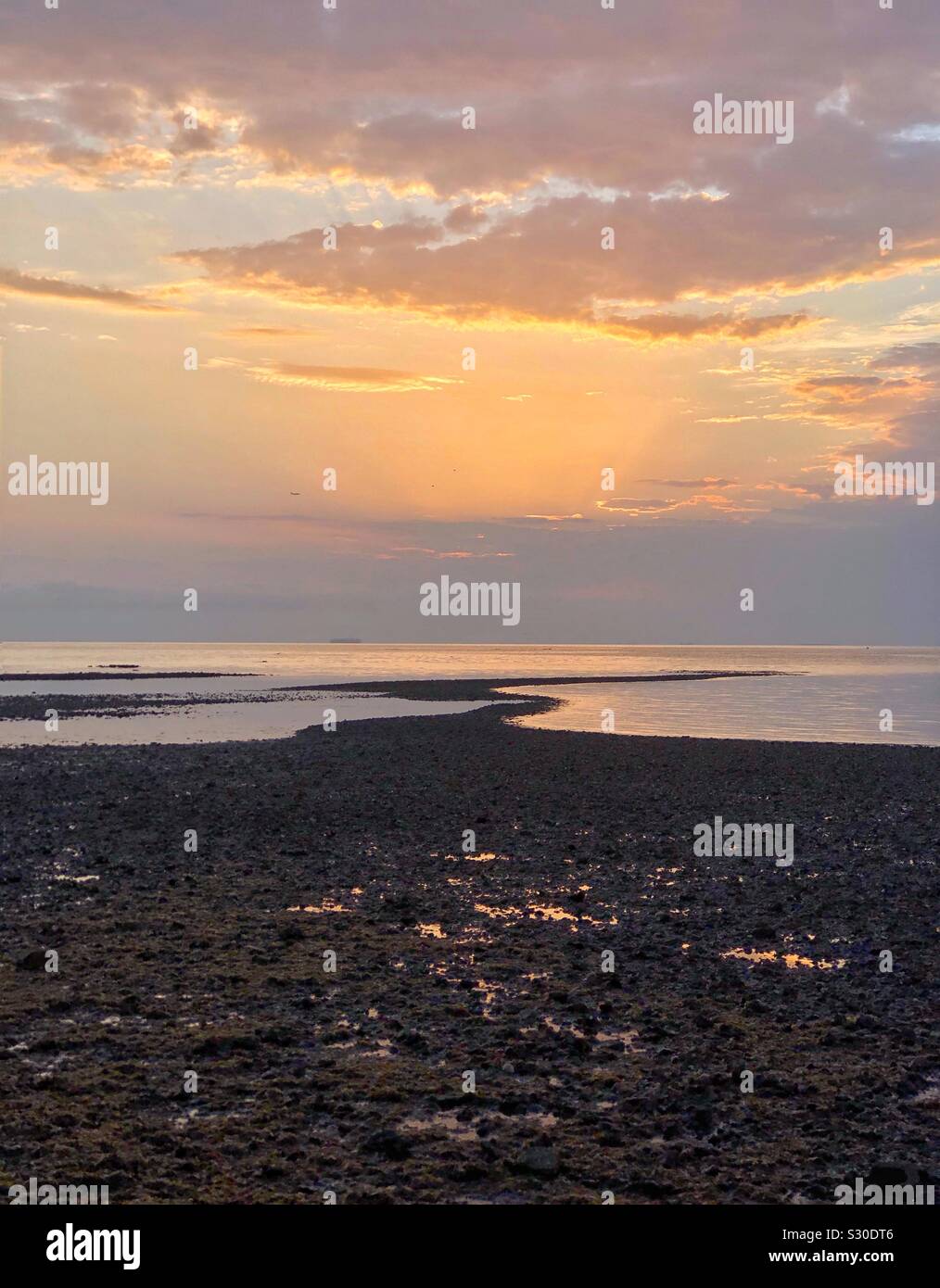 Woody point hi-res stock photography and images - Alamy