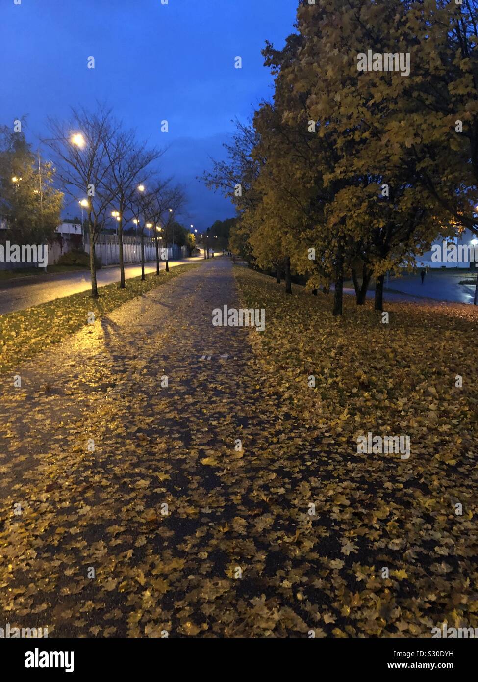 Helsinki by night fall hi-res stock photography and images - Alamy