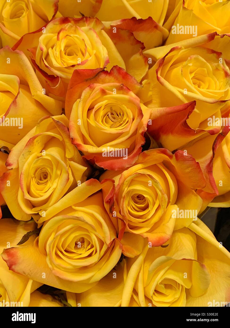 Bouquet yellow orange roses hi-res stock photography and images - Alamy