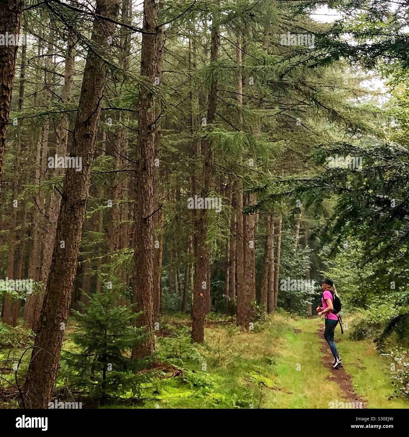 Runner feeling small Stock Photo - Alamy