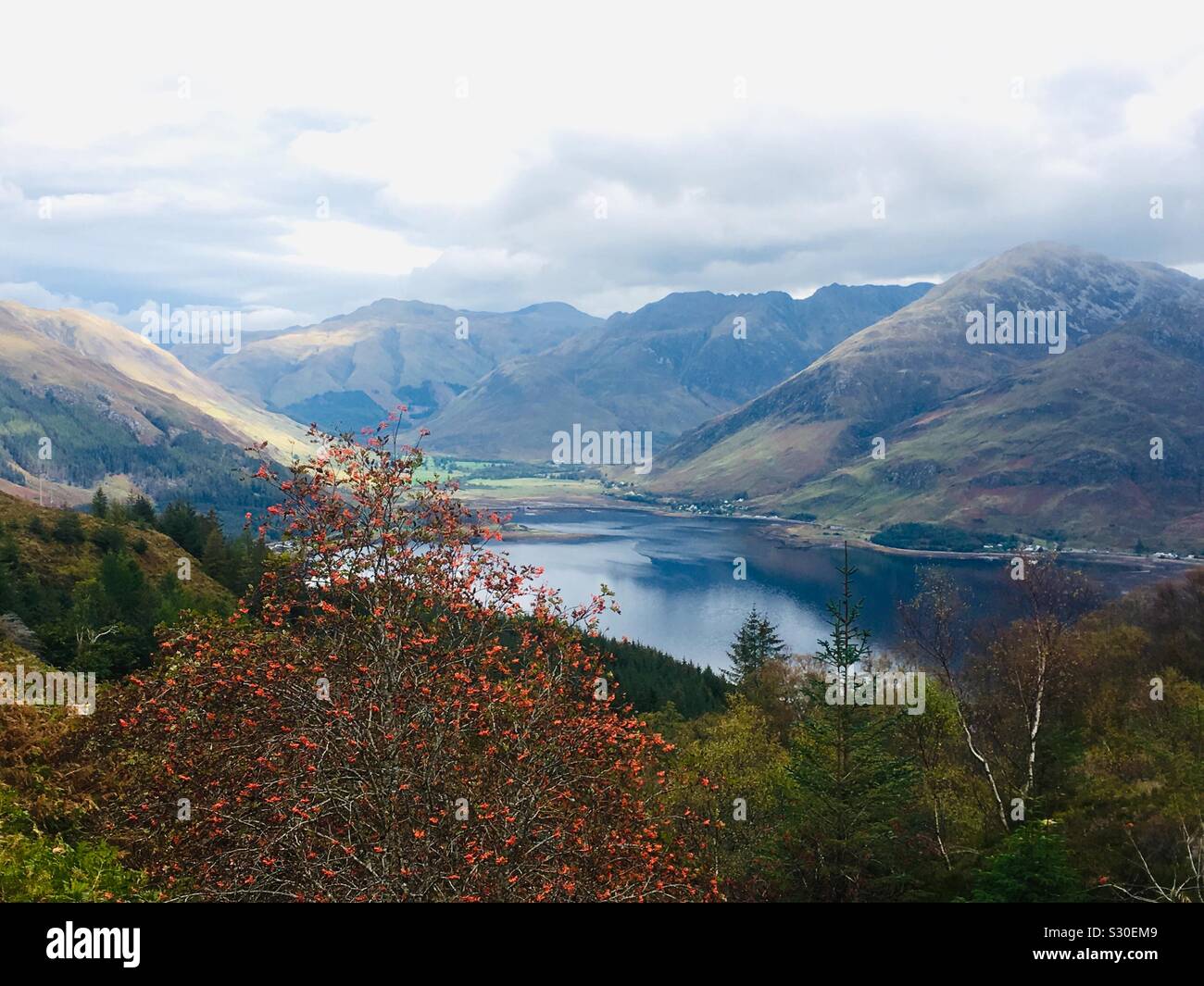 Autumn Berries and the View from the Ratagan Pass, Mam Ratagan, of Loch ...