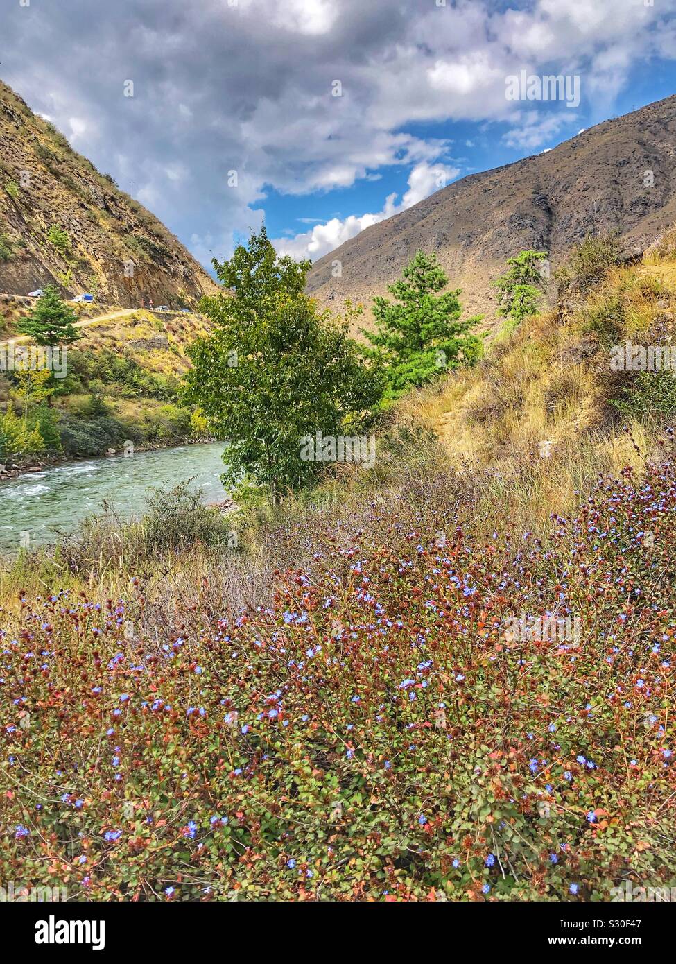 Picturesque landscape in Bhutan Stock Photo - Alamy
