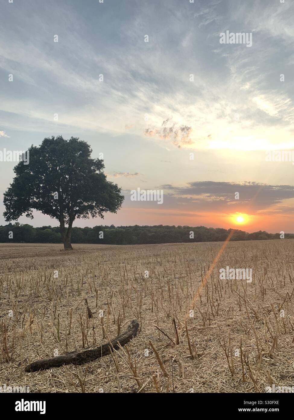 Scorched field hi-res stock photography and images - Alamy