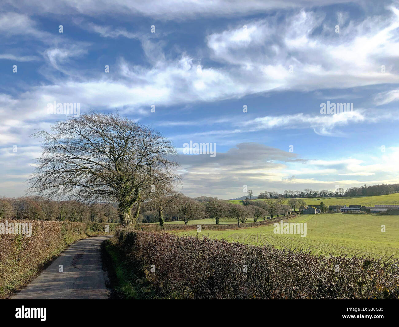English drive hi-res stock photography and images - Alamy