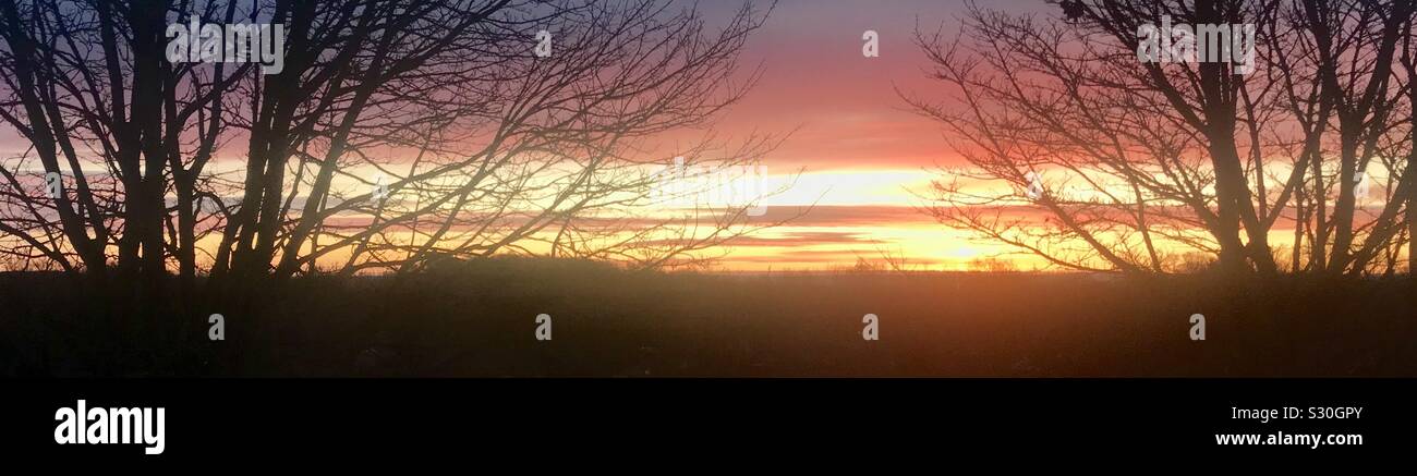 Red sunrise through trees Stock Photo - Alamy