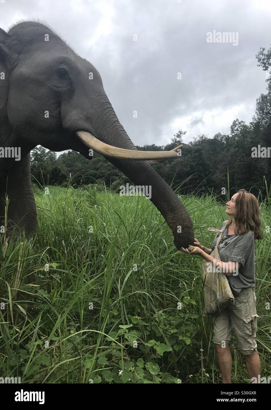 Elephant lady hi-res stock photography and images - Alamy