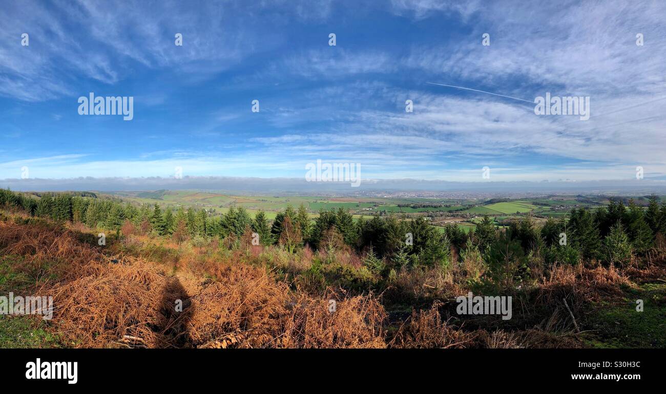 Haldon forest hi-res stock photography and images - Alamy
