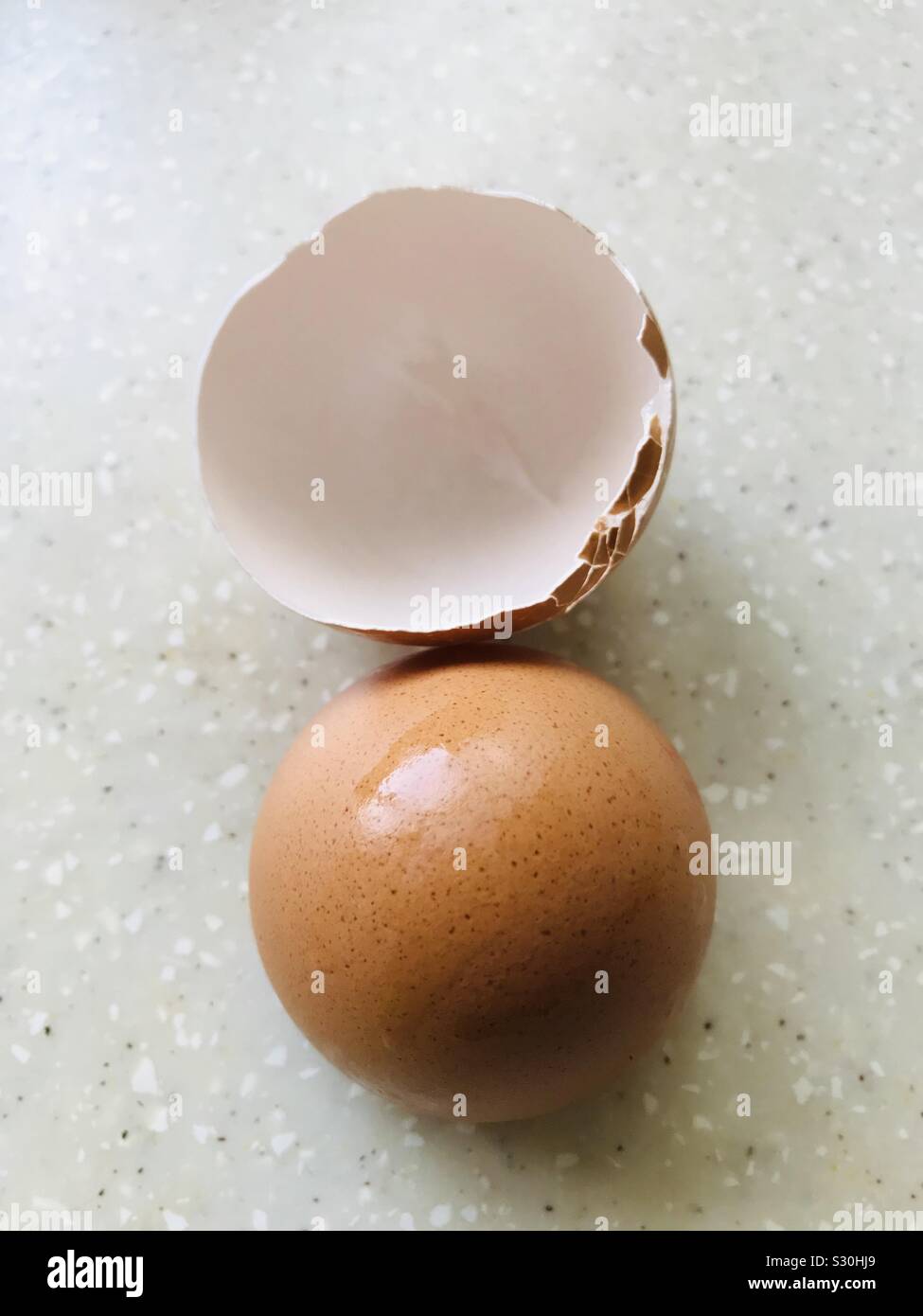 Emptied chicken egg shell in table top Stock Photo - Alamy