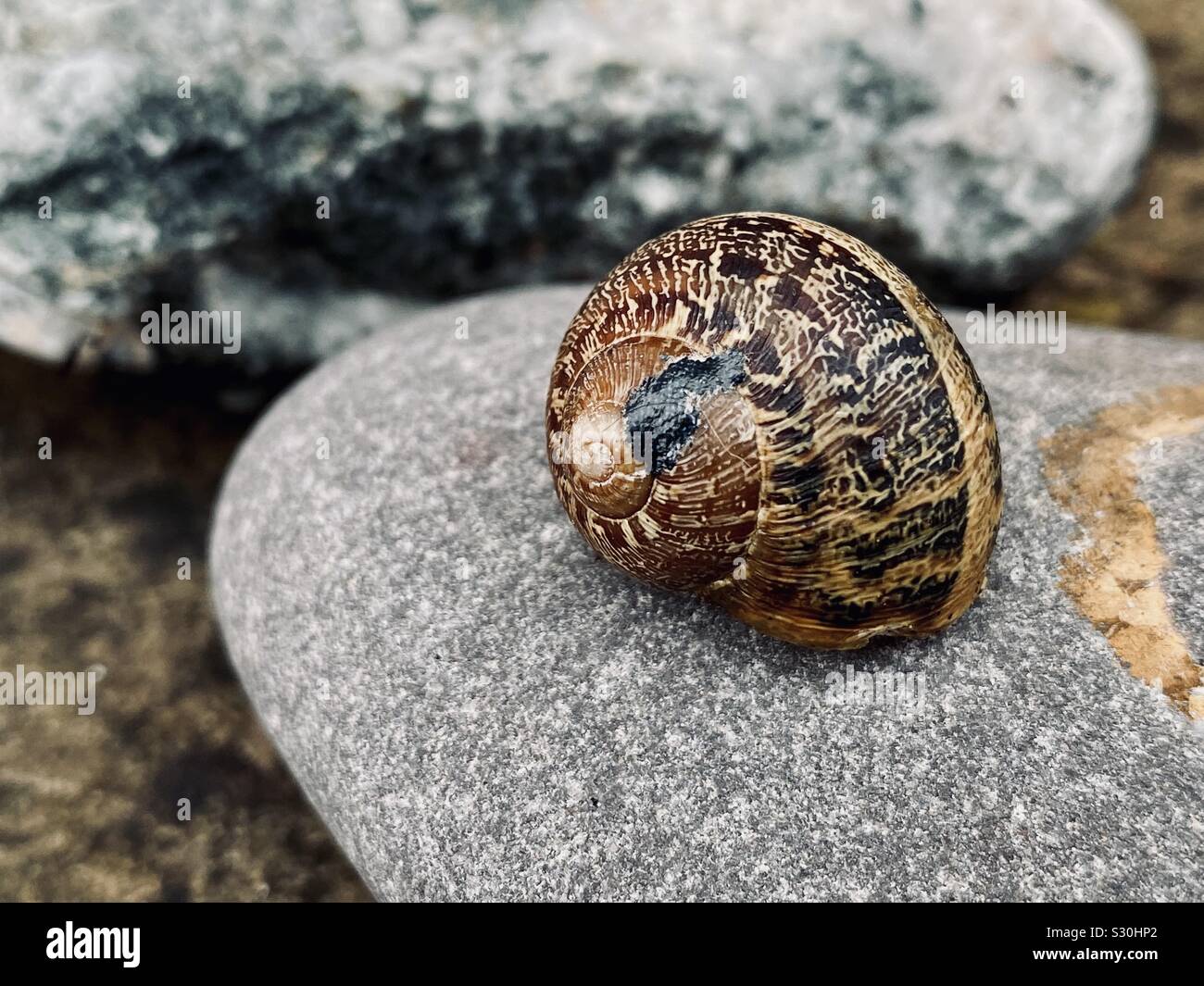 Word patterns hi-res stock photography and images - Alamy