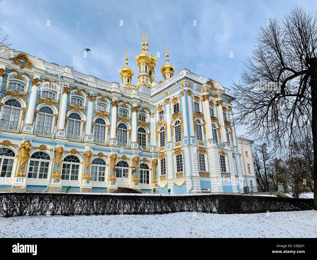 Pushkin russia palace hi-res stock photography and images - Alamy