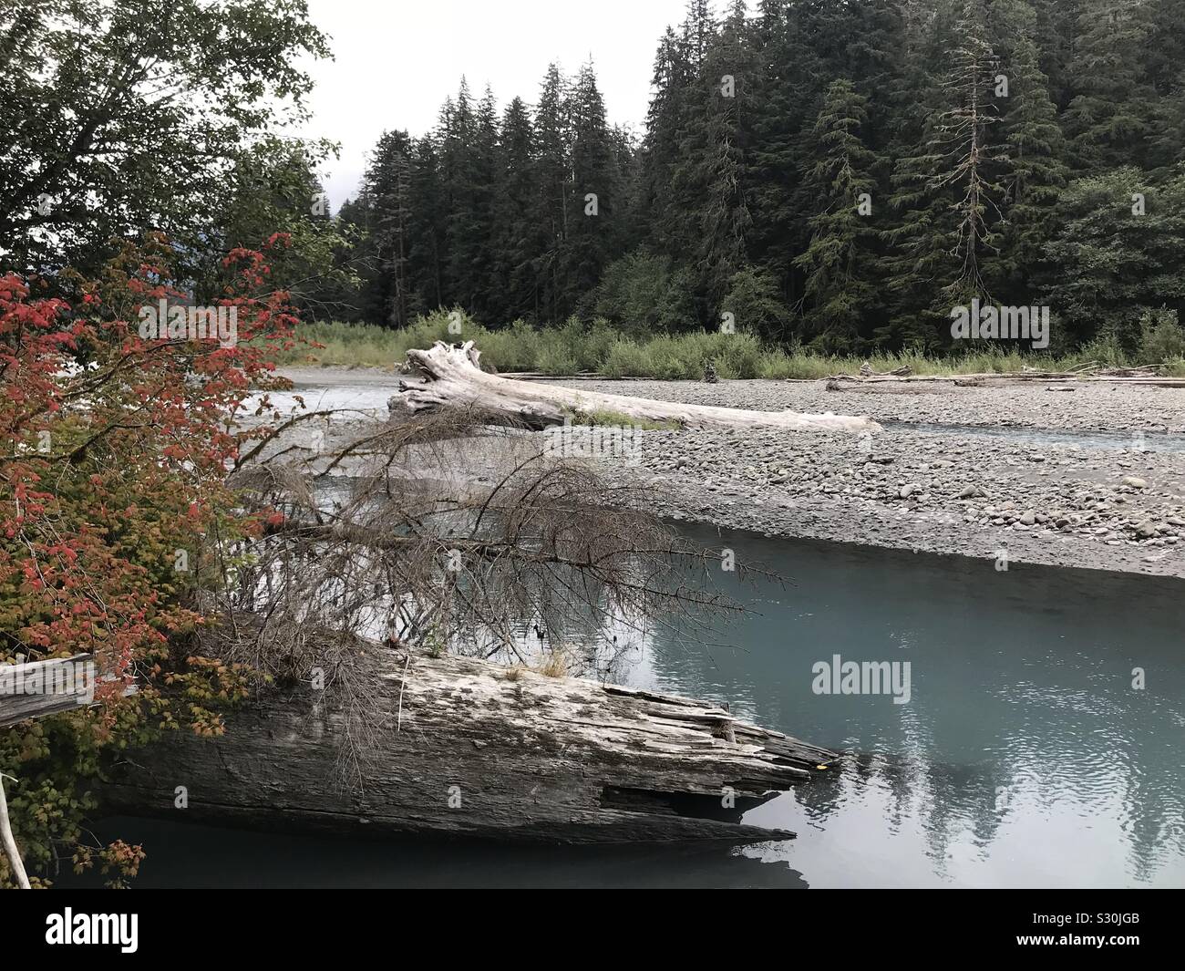 Hoh river washington hi-res stock photography and images - Alamy