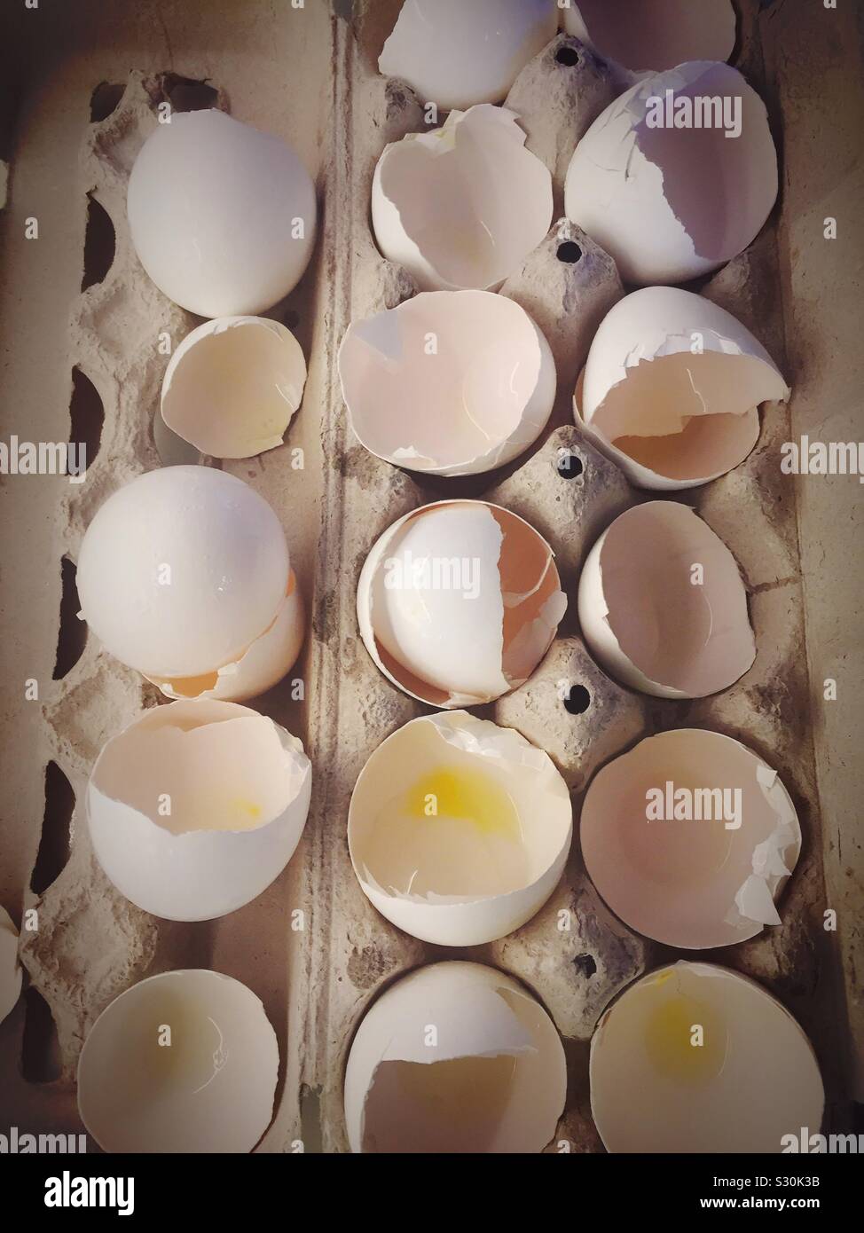 Egg shells in a cardboard carton close up Stock Photo - Alamy