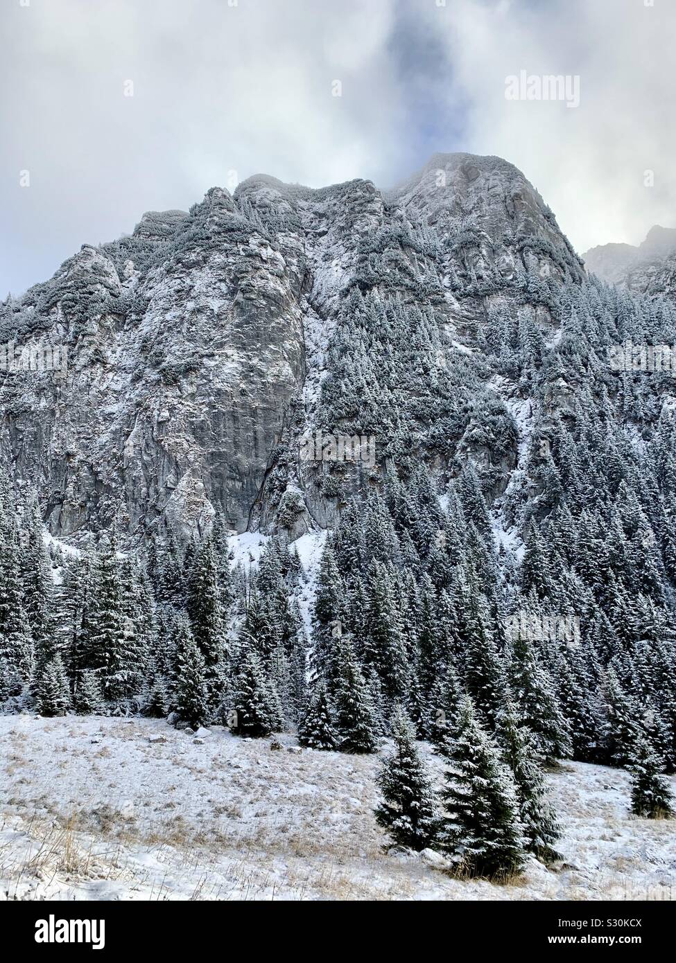 First day of season hi-res stock photography and images - Alamy