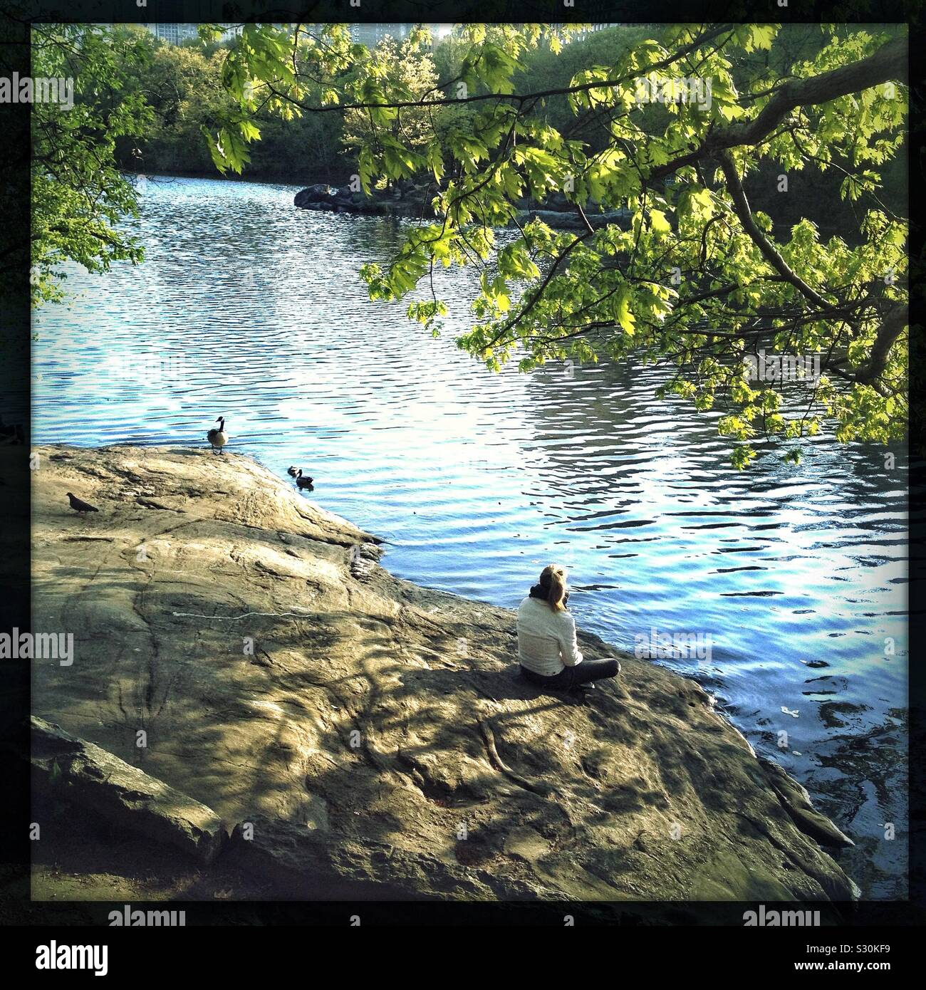 Spring at the pond in Central Park, New York City. Teenager girl ...