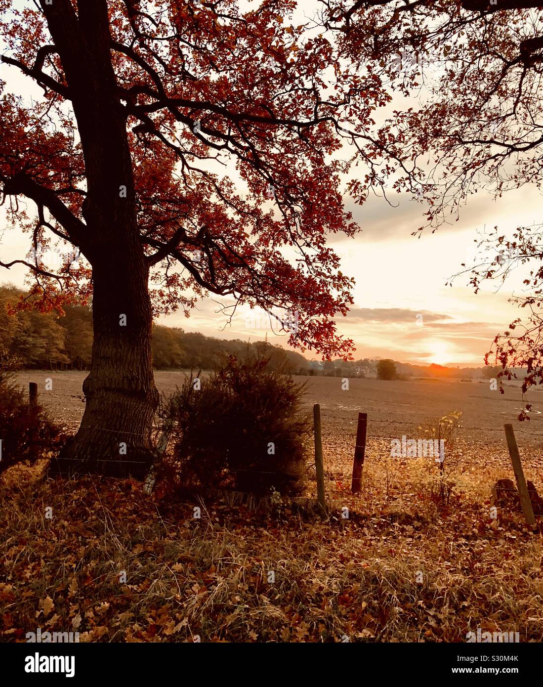 Beauty of cobham hi-res stock photography and images - Alamy