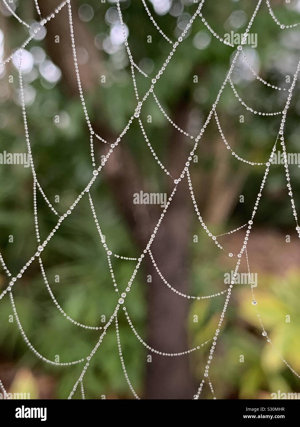 Pearl strings - nature made Stock Photo - Alamy