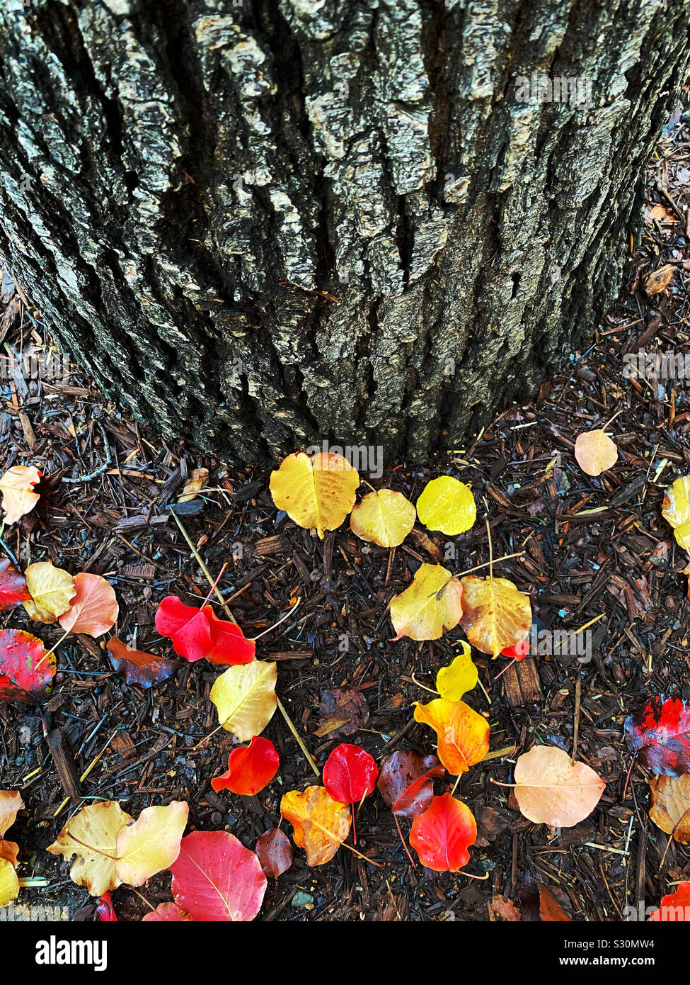 Colorful base hi-res stock photography and images - Alamy