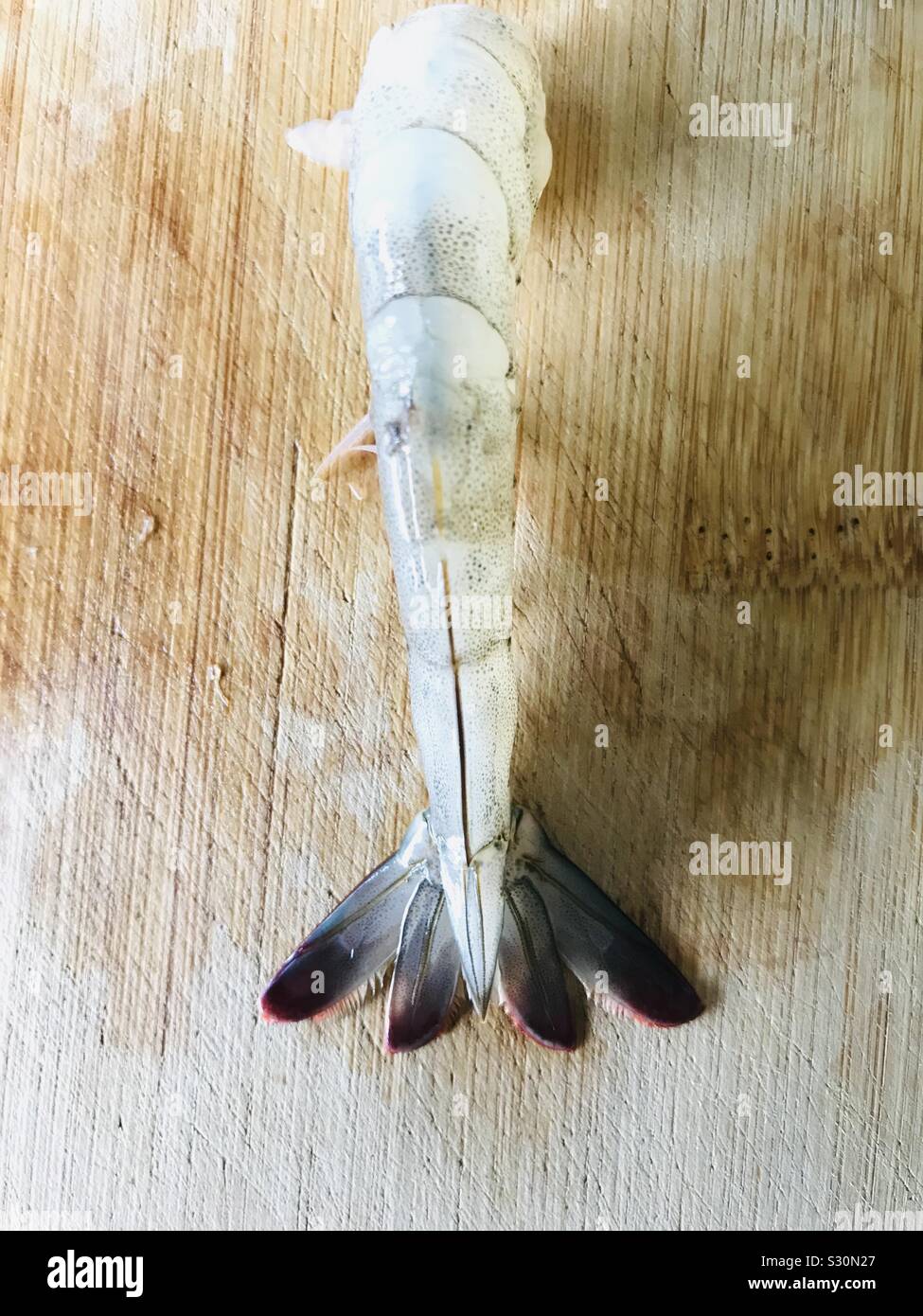 Headless fish hi-res stock photography and images - Alamy